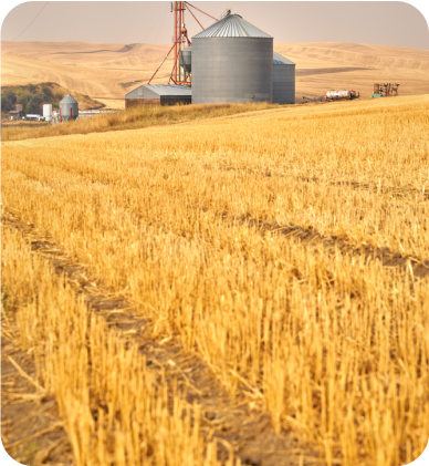 Inweon GRAMS - Rice Measurement System
